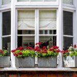 Knowing if Cast Iron Radiators are Right for Your Home - 2022 Guide ...