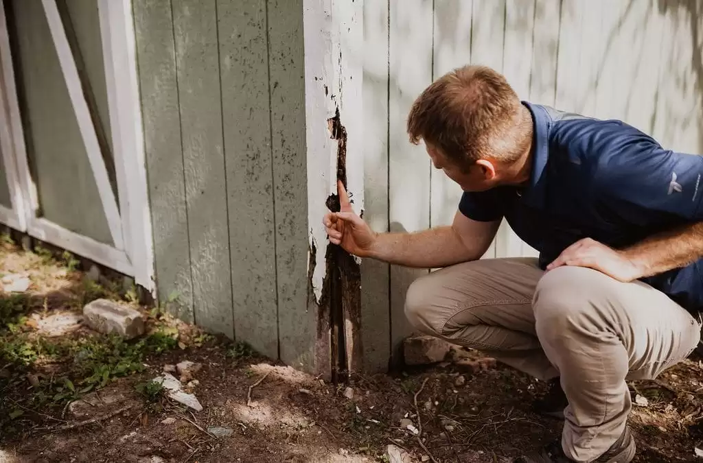 How To Prepare for a Termite Inspection - Ultimate Guide - The Video Ink
